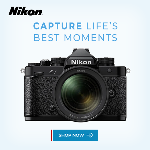 Gift Ideas for Friends and Family | BuyDig.com