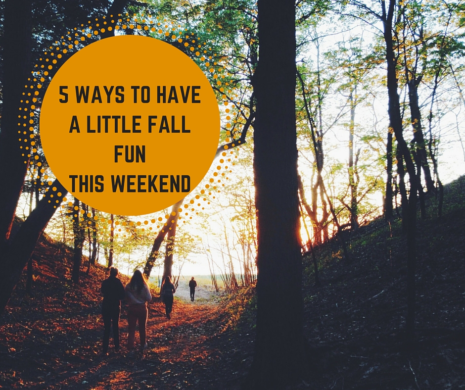 Happy Autumn! 5 Ways to Have a Little Fall Fun this Weekend - BuyDig ...