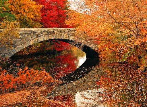 fall1 - BuyDig.com Blog