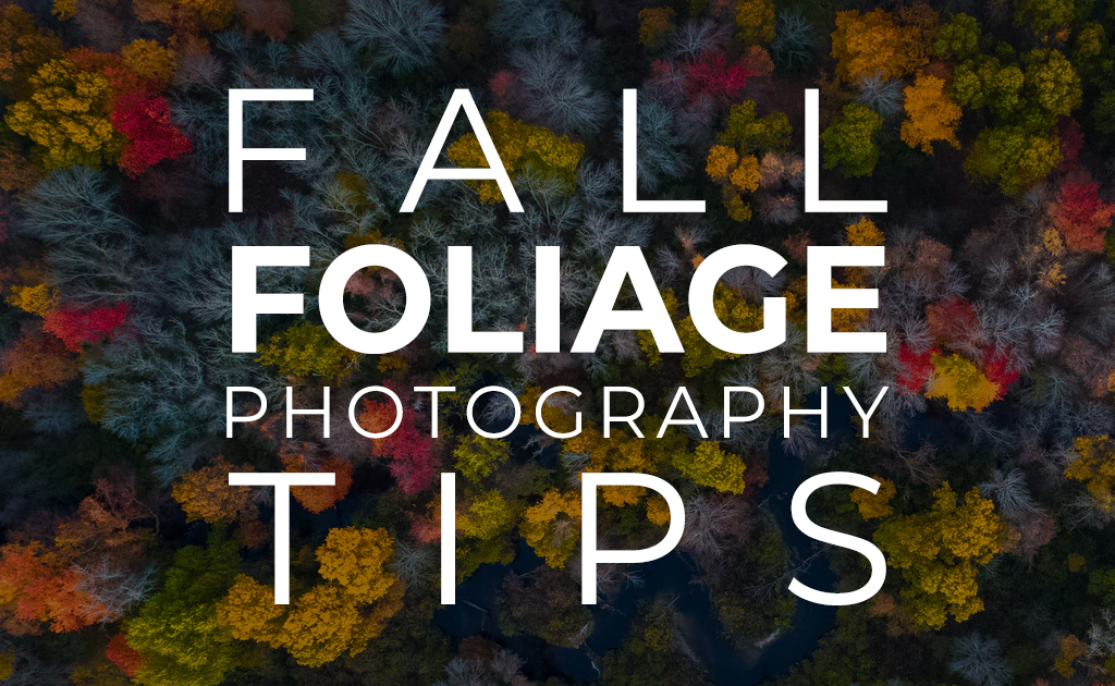 Fall Foliage Photography Tips - BuyDig.com Blog
