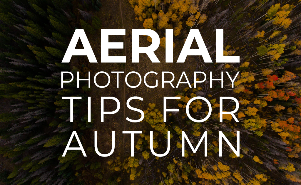 Aerial Photography Tips for Autumn - BuyDig.com Blog