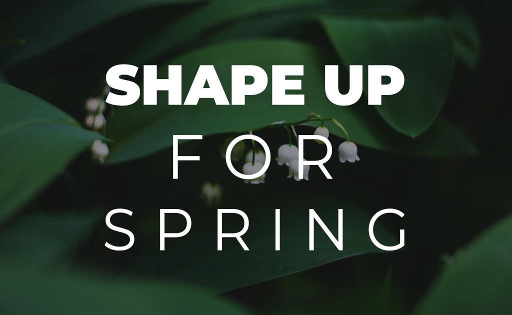 Shape Up for Spring - BuyDig.com Blog
