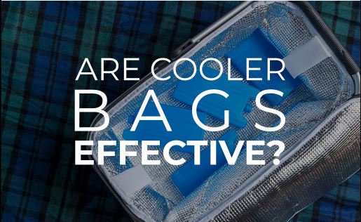 Explore the Best Cooler Bags for Keeping it Chill - BuyDig.com Blog