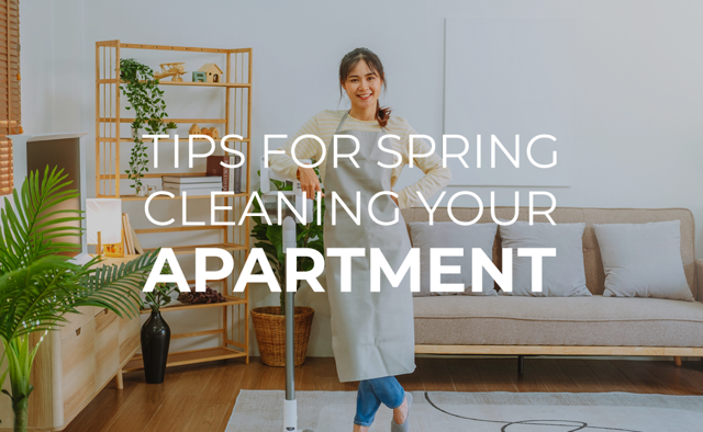 Tips For Spring Cleaning Your Apartment - BuyDig.com Blog
